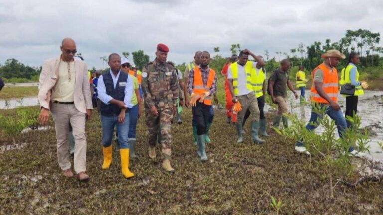 Libreville : ARISE IIP et les Eaux et forêts lancent la restauration de ...