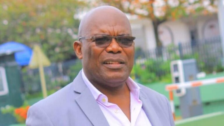 Gabon : Vernelle Trim FitzPatrick nouvel ambassadeur des Etats-Unis ...