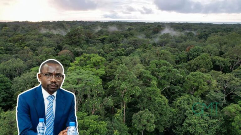 Gabon : Mays Mouissi à la tête du ministère de l’Environnement et du Climat | Gabonmediatime.com ...