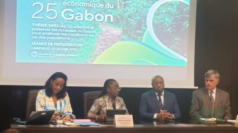 Gabon: les nouveaux Codes pénal et civil désormais disponibles au ...