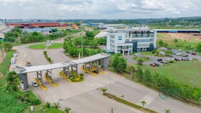 Gabon : ARISE IIP lève 700 millions USD et accueille Vision Invest ...