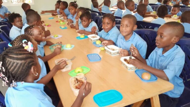 Alimentation : l’OMS alerte sur l’urgence de repenser les repas servis ...