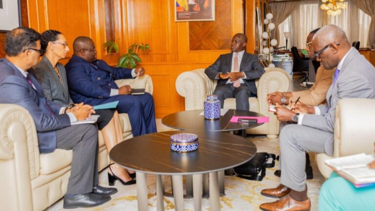 Gabon : la mine de Baniaka vise une production de 5 millions de tonnes ...
